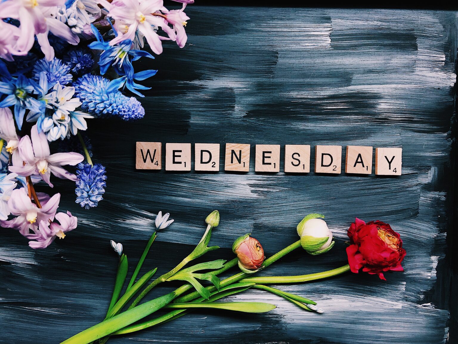 Weedless Wednesday Fundraising Campaign In Canada - Werbylo | We rise ...